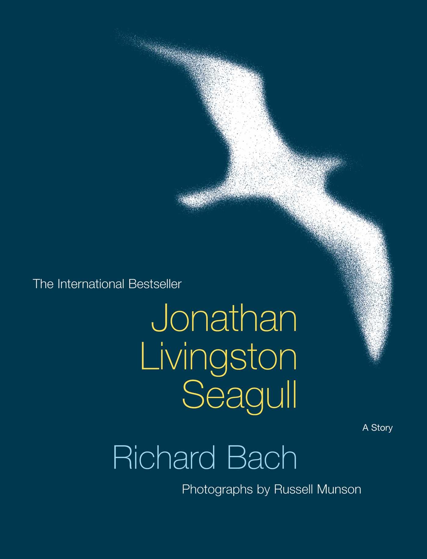 Jonathan Livingston Seagull: Summary and Plot Analysis – Friends of Words