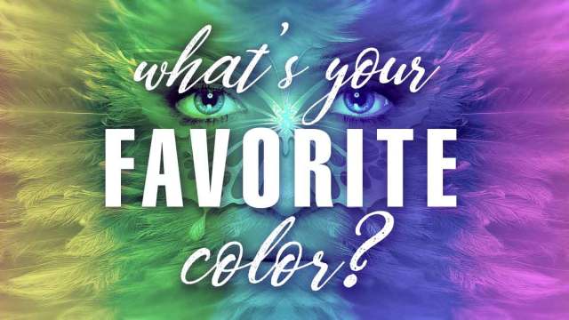 Choose Your Favorite Color Rainbow Is My Favorite Color Cute Rainbow